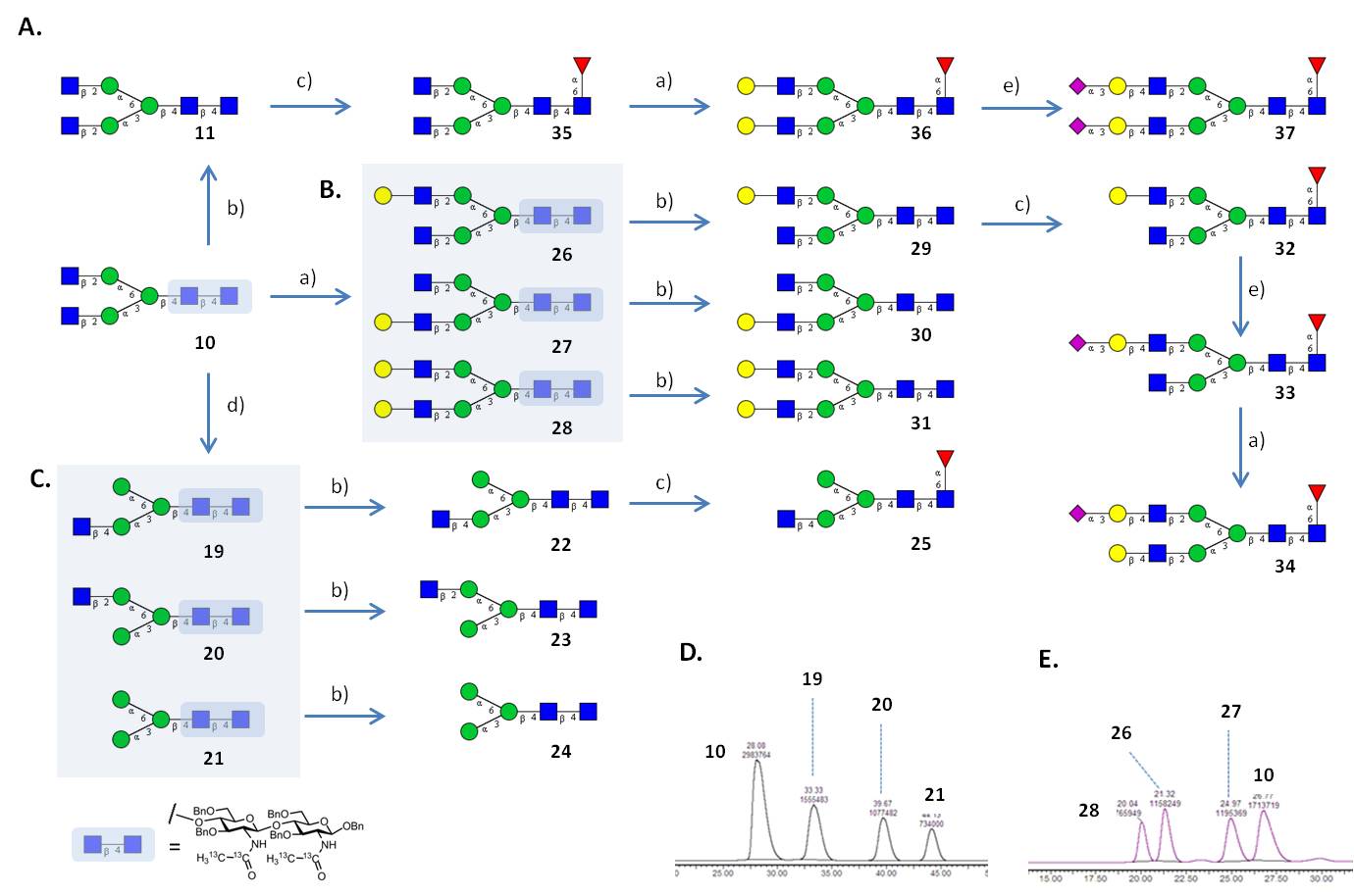 Carbohydrate Synthesis – Glycotechnology Lab
